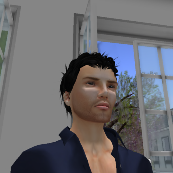adrianleverkuhn - Second Life