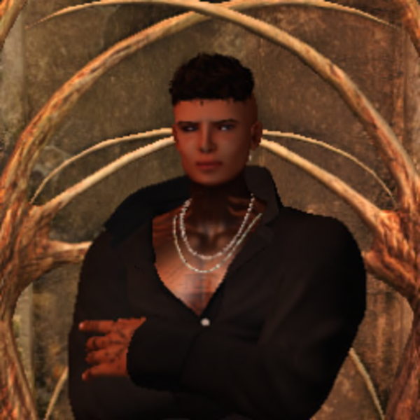 mrxeclipse - Second Life