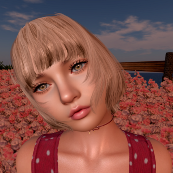 primery - Second Life