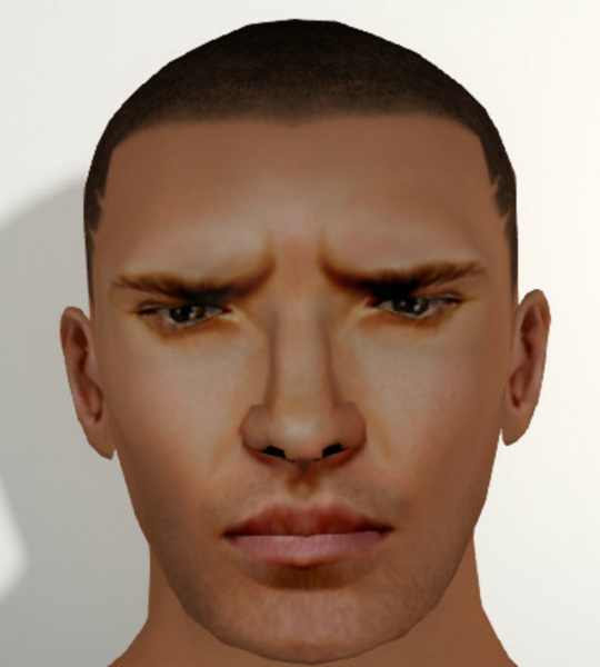 tomtemplates - Second Life