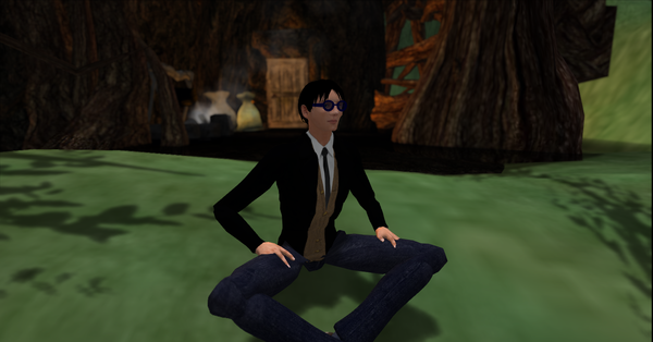 windows - Second Life